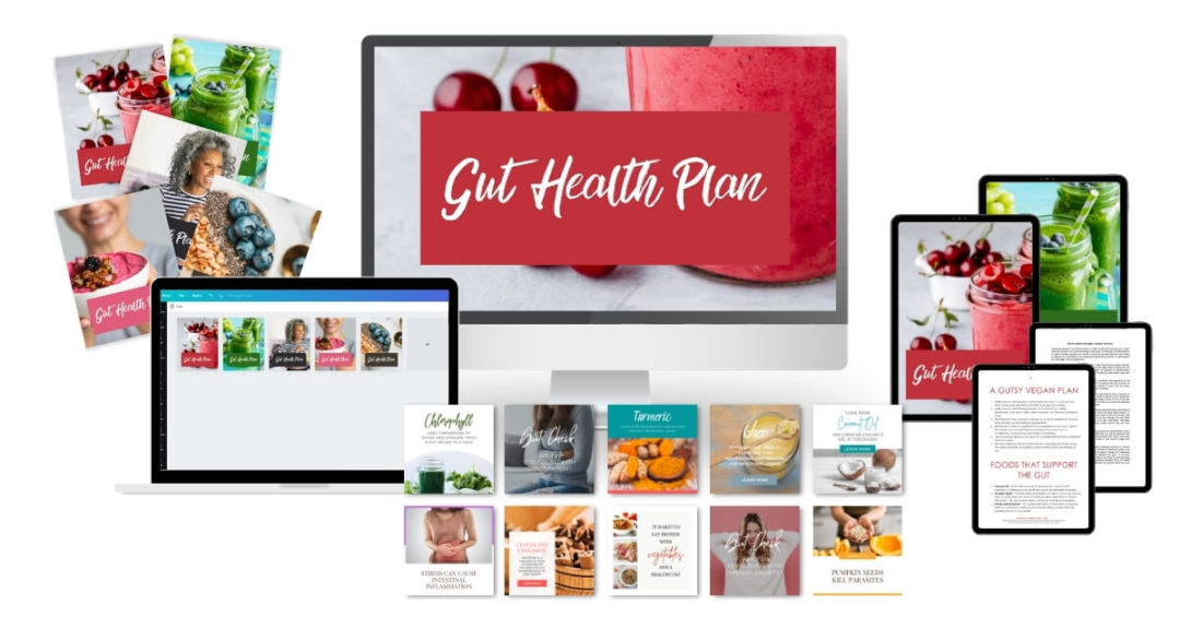 Health Coach Gut Health Giveaway - Your Health Coach Biz with Rachel ...