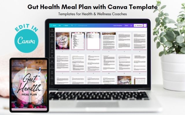 28-Day Gut Health Meal Plan Offer - Your Health Coach Biz with Rachel ...
